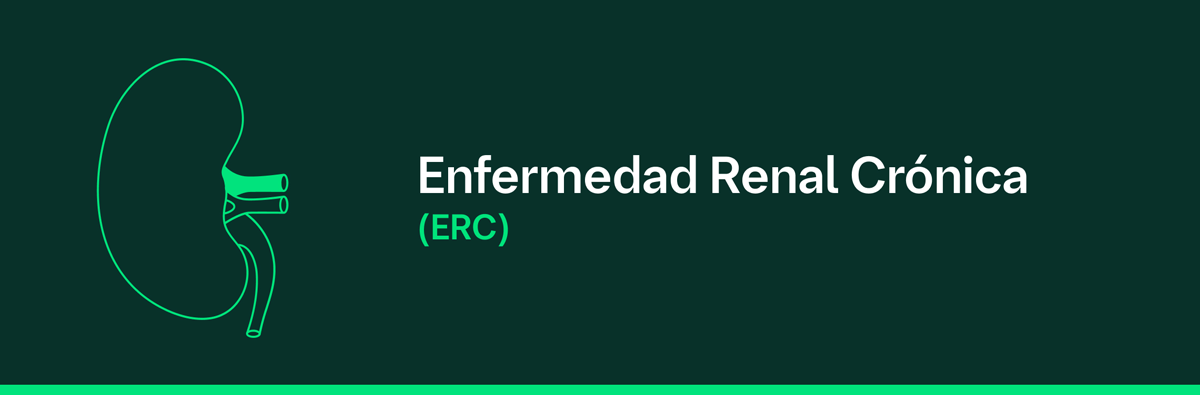 Enfermedad renal crónica | CardioRenalMetabólico
