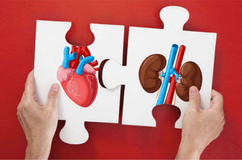 Cardiorrenal Es Evidencia Científica En Ic