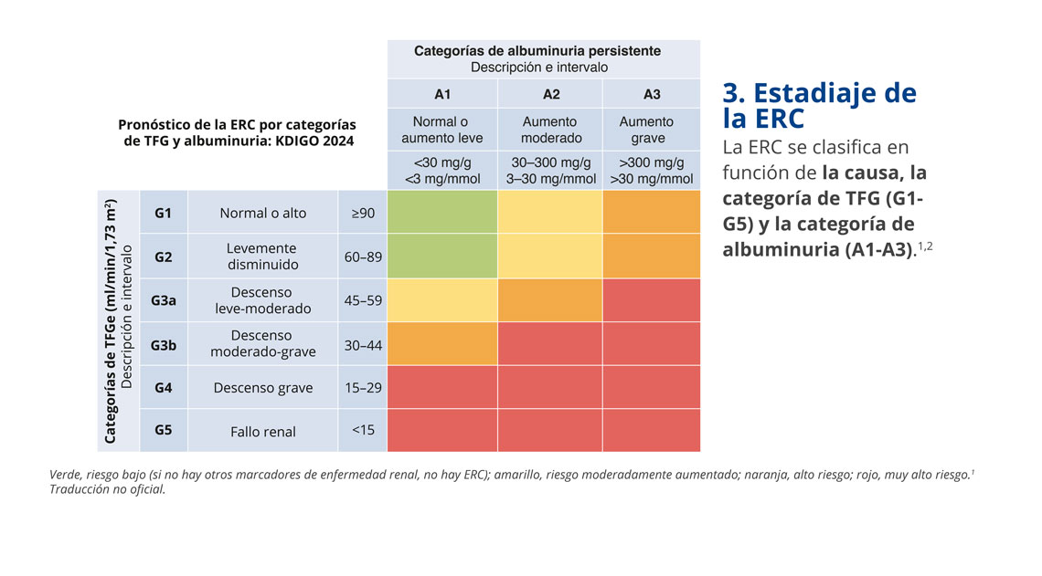 Cardiorrenal.es | Manejo de la ERC según las nuevas guías KDIGO 2024 ... Cardiorrenal.es | Manejo de la ERC según las nuevas guías KDIGO 2024 ...
