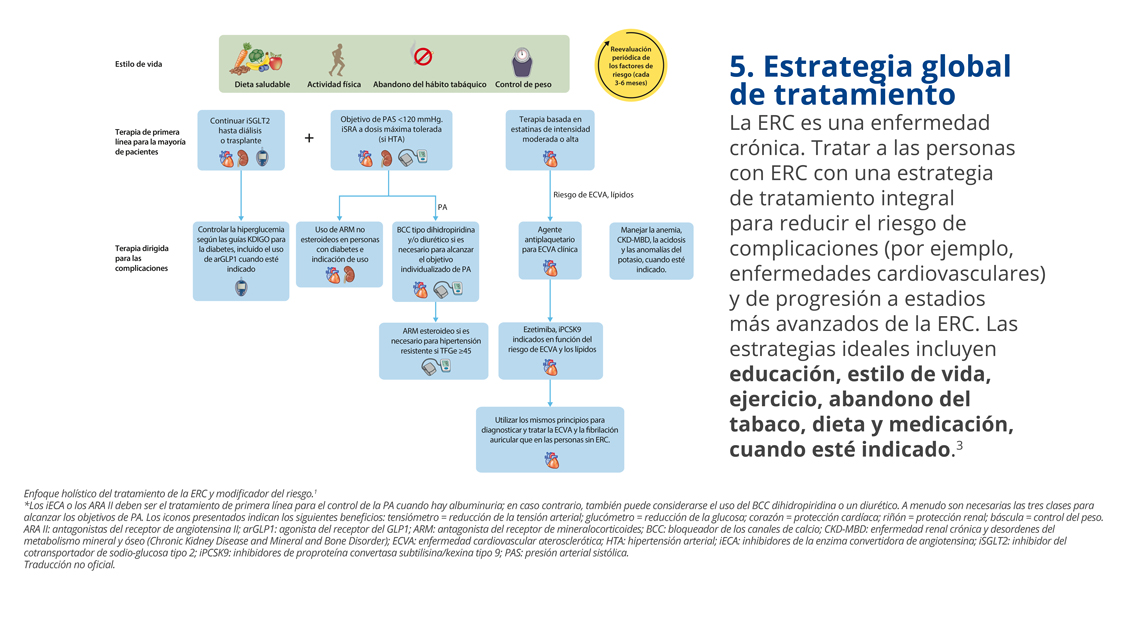Manejo de la ERC según las nuevas guías KDIGO 2024: foco AP | CardioRenalMetabólico