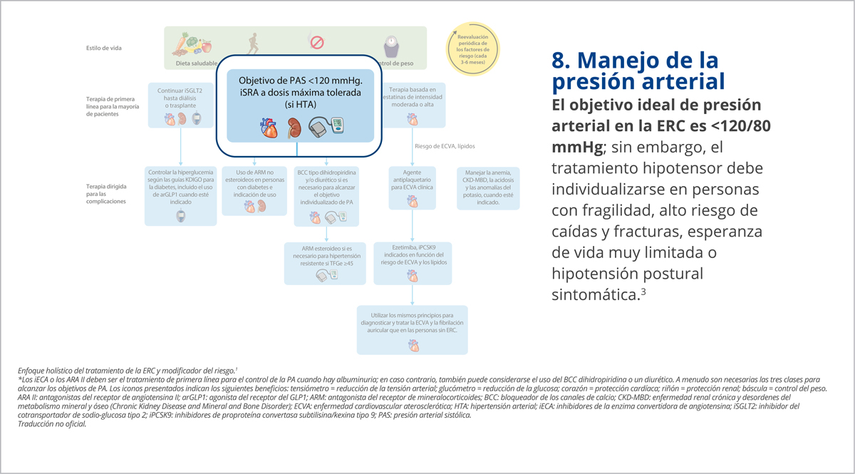 Manejo de la ERC según las nuevas guías KDIGO 2024: foco AP | CardioRenalMetabólico