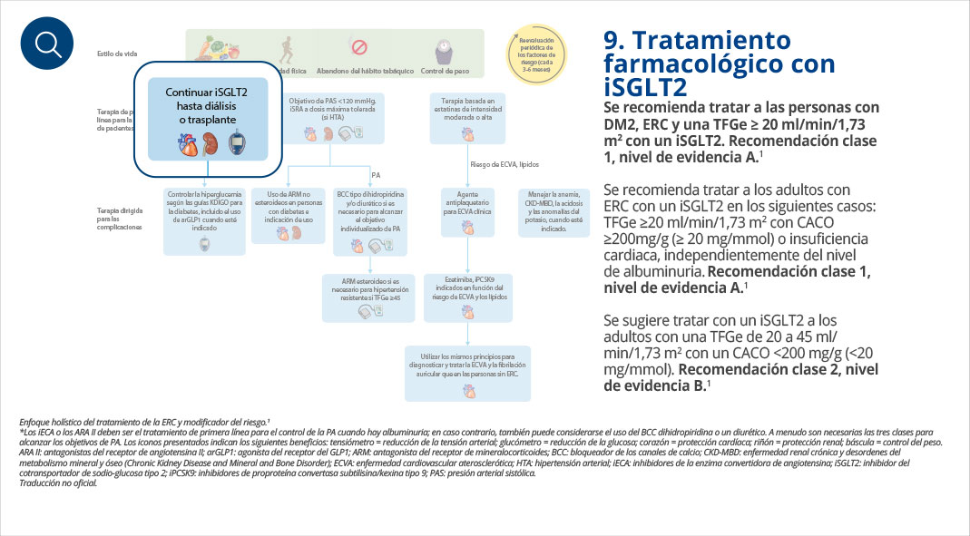 Cardiorrenal.es | Manejo de la ERC según las nuevas guías KDIGO 2024 ... Cardiorrenal.es | Manejo de la ERC según las nuevas guías KDIGO 2024 ...