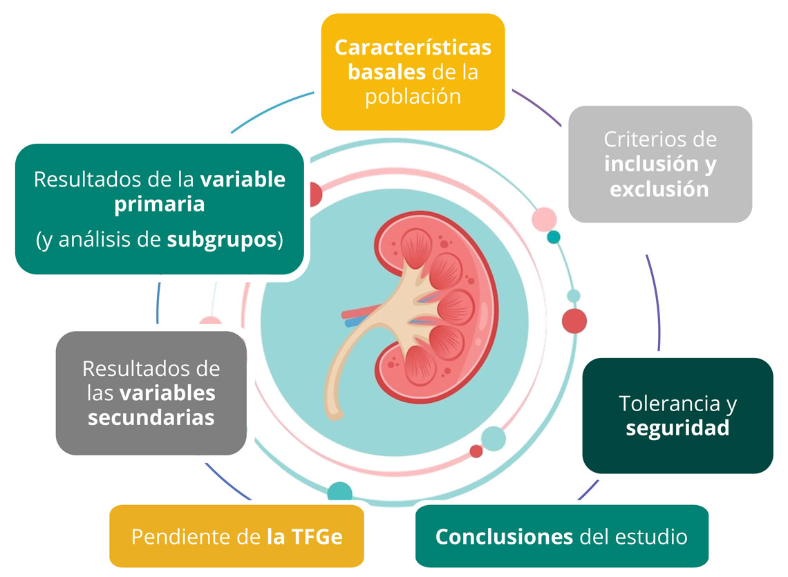 Conoce todos los detalles del estudio EMPA-Kidney | CardioRenalMetabólico