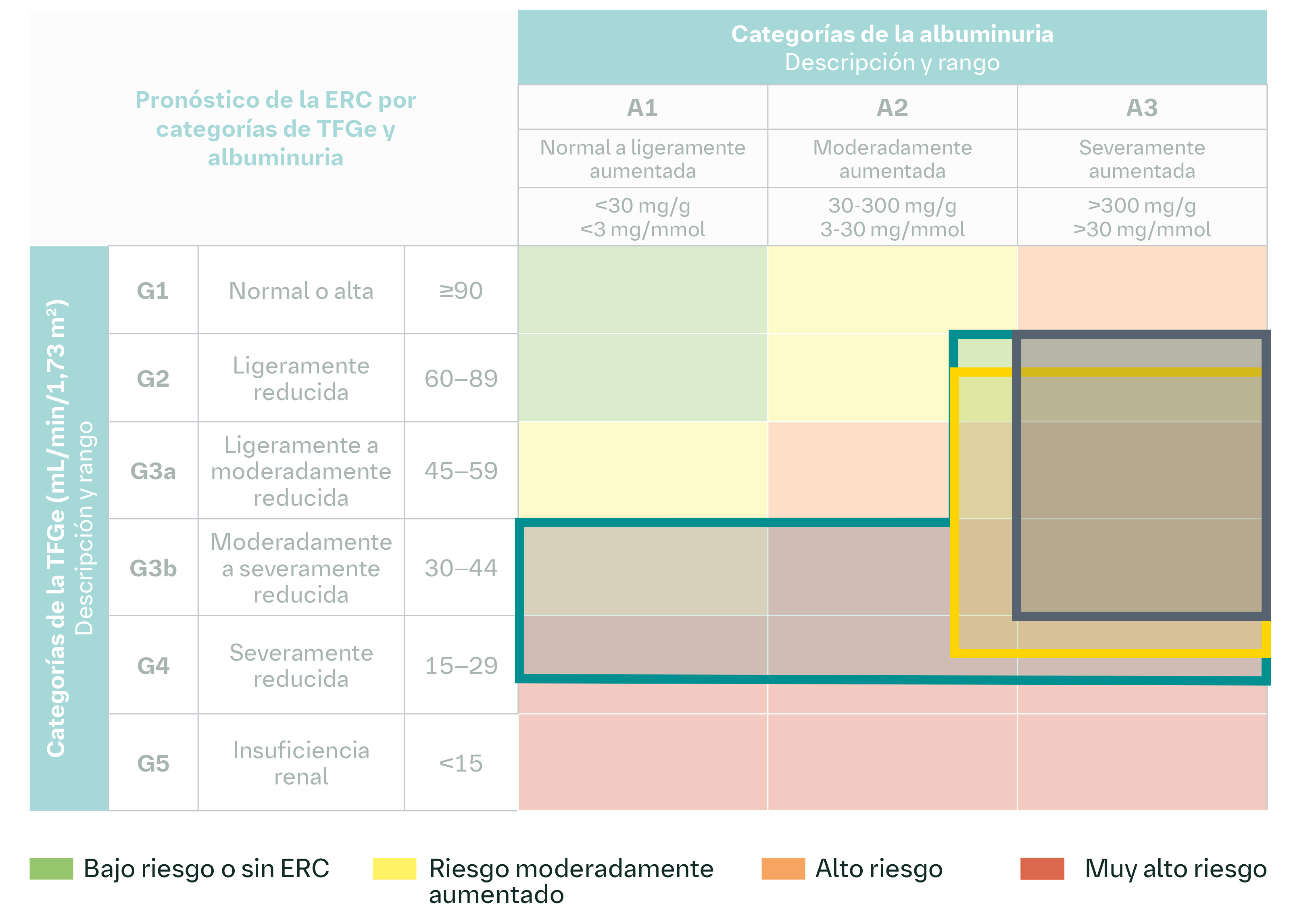 El impulso de los iSGLT2 en la enfermedad renal crónica ...