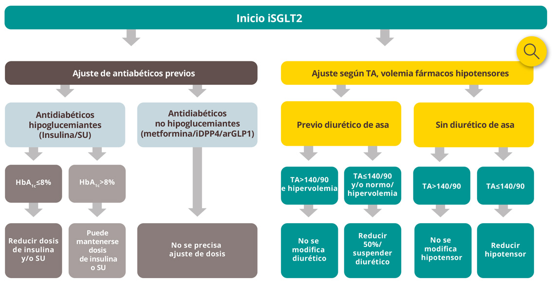 Cardiorrenal.es | Consejos y recomendaciones iSGLT2