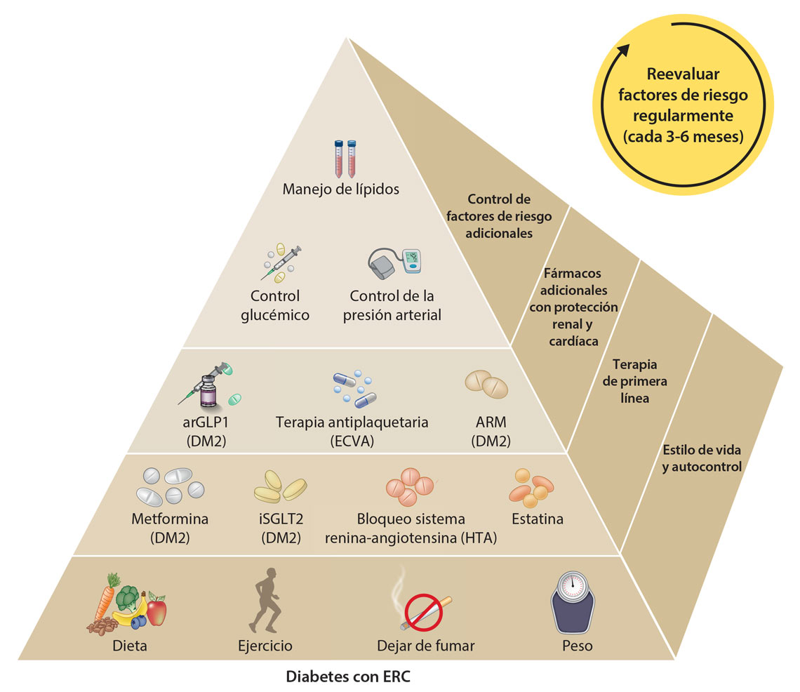 Cardiorrenal.es | recomendaciones guías KDIGO 2022