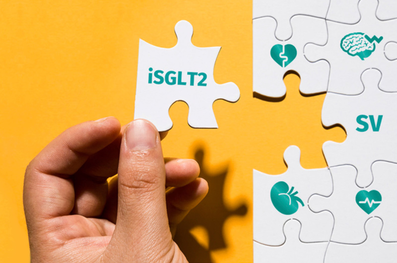 Cardiorrenal.es | Evidencia Científica en monoterapia con iSGLT2