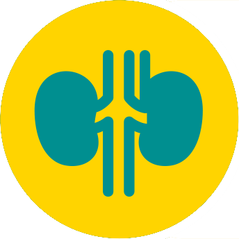 Abordaje del paciente frágil desde tu consulta | CardioRenalMetabólico