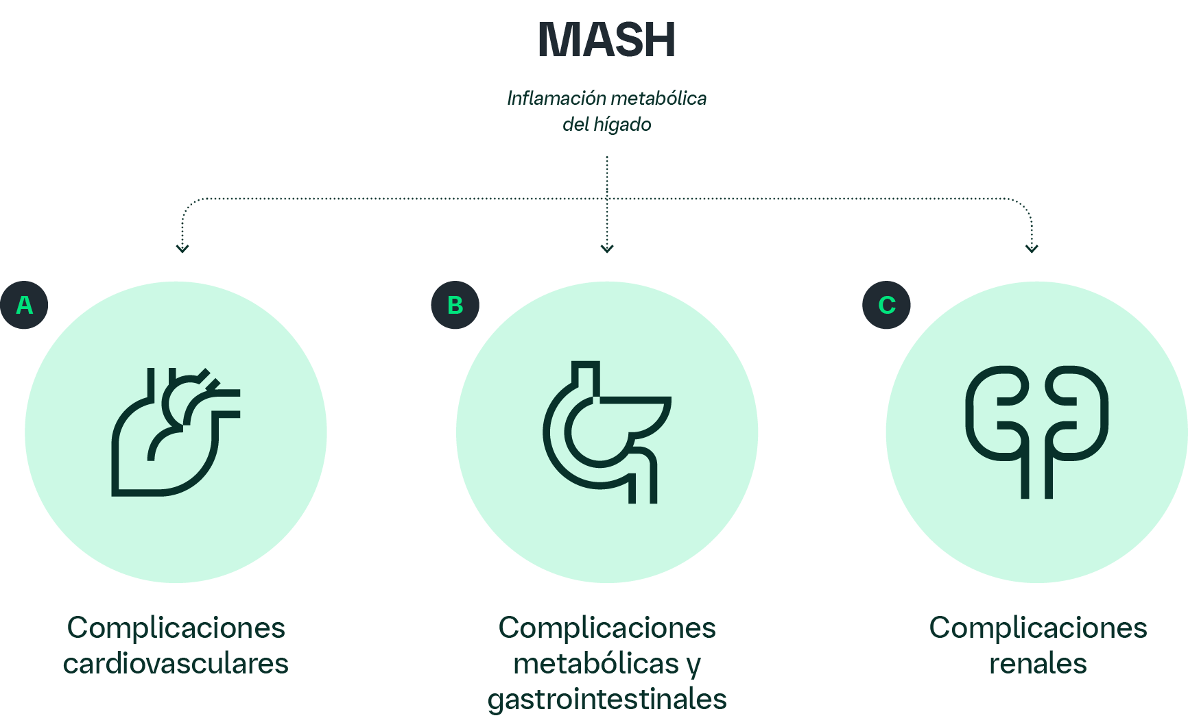 Comprender MASLD y MASH | CardioRenalMetabólico